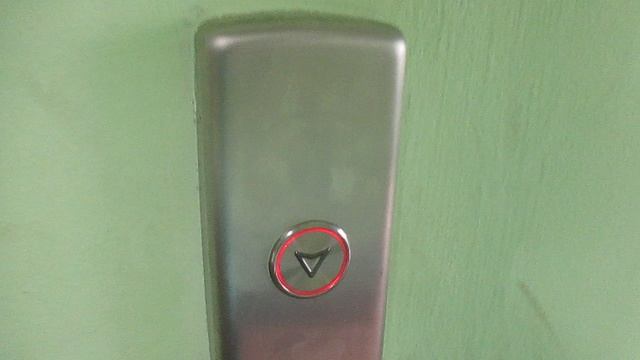 Музыкальные лифты ЩЛЗ-(Ecomaks) @ г. Москва, г. Троицк, Октябрьский проспект, д. 11 (33)