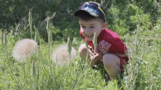 ДЕТСКИЕ МЕЧТЫ-1