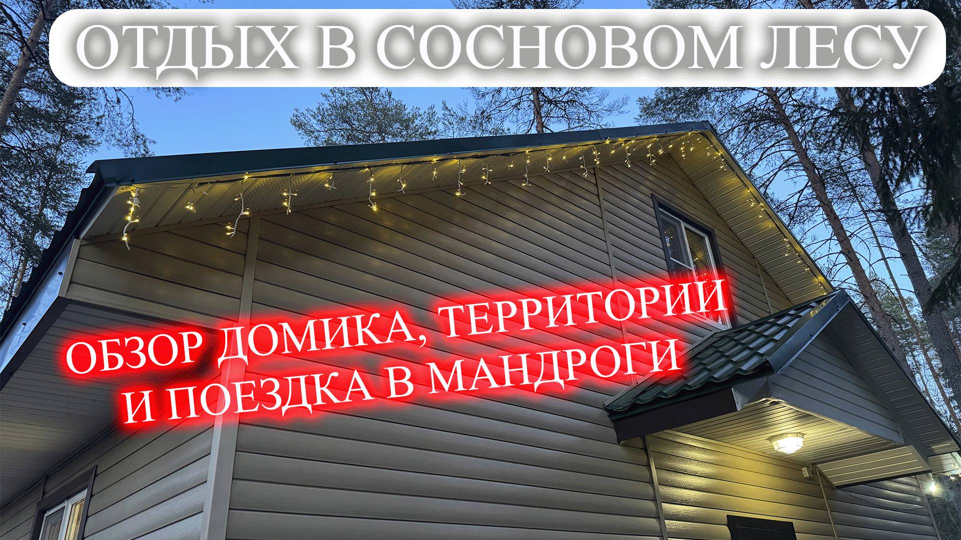 ПОЕЗДКА ЗАГОРОД 🏠. ОТДЫХ В СОСНОВОМ ЛЕСУ 🌳 - ДЕРЕВНЯ МАНДРОГИ