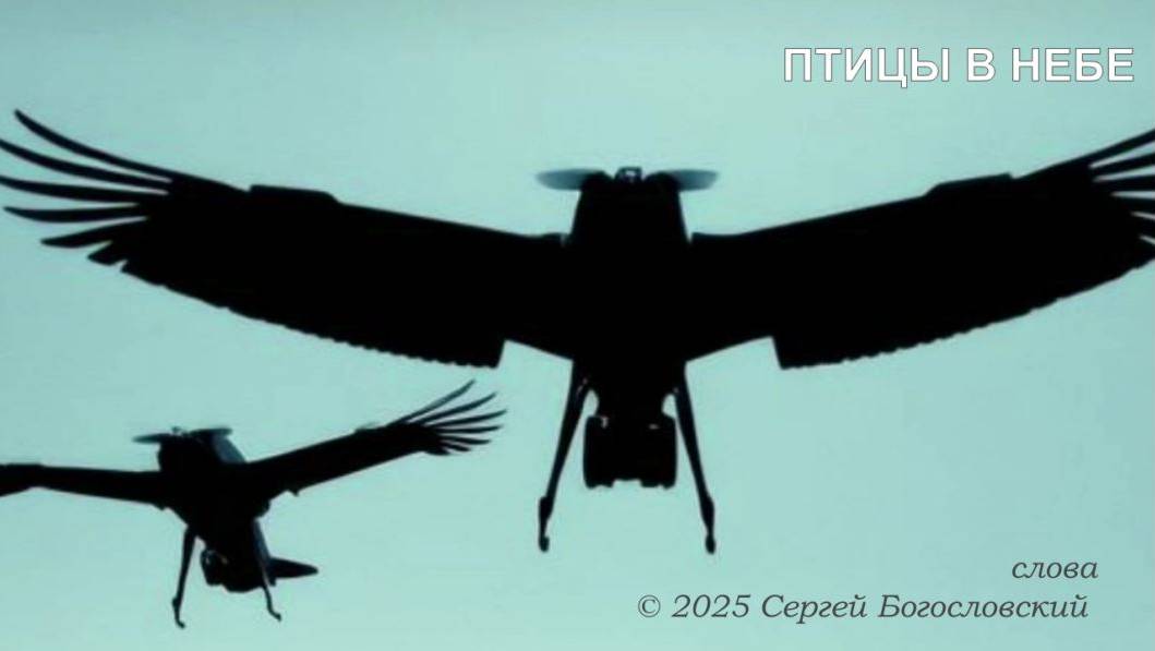 Птицы в небе (2025)