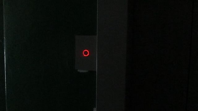 Музыкальный лифт ЩЛЗ-(Ecomaks) @ Т.О. г. Алексин, ул. 50 лет Октября, д. 6 (3)