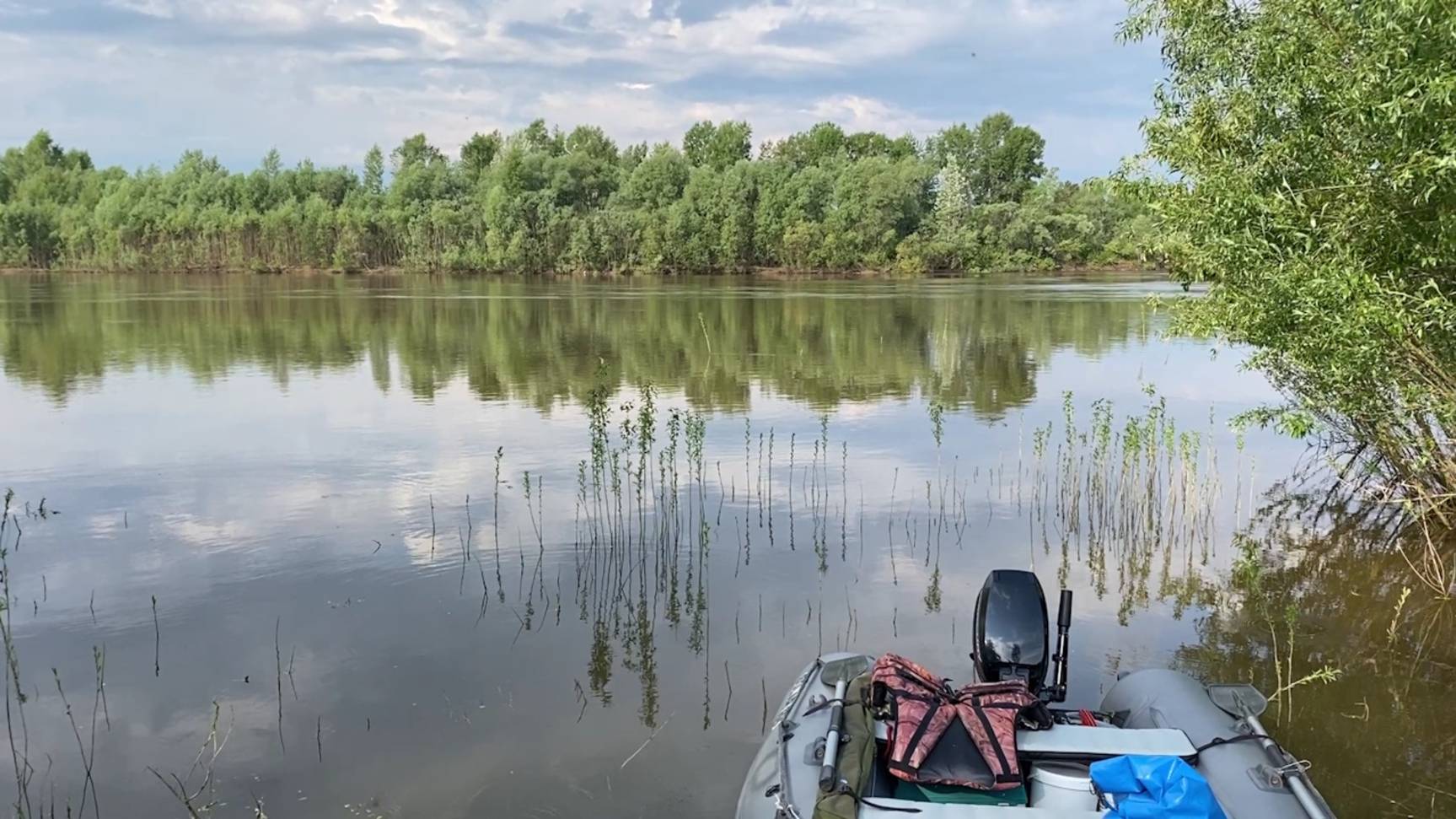 ВЕСЕННЯЯ РЫБАЛКА НА ХИЩНИКА