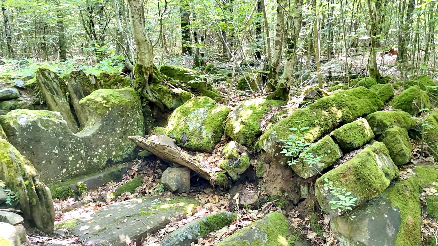 Видео 100 - Дольмены с КРЕПИДОЙ по кругу (Возрождение)