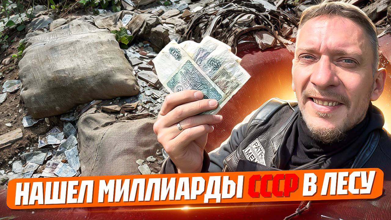 Забытые богатства в лесу: как я стал «миллионером» на один день!
