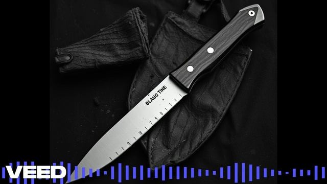 Андрей Дементьев — Я ненавижу в людях ложь.