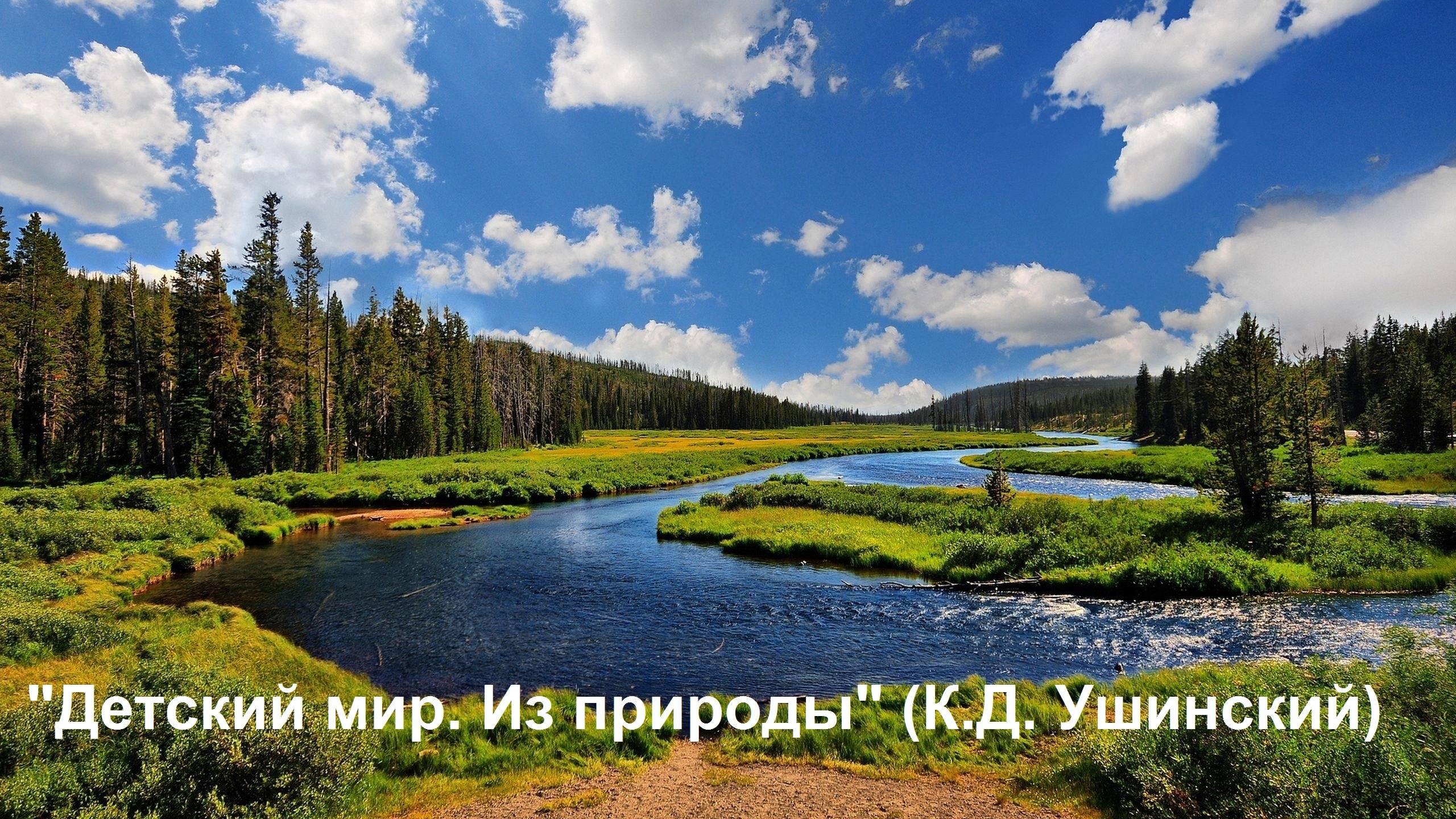 "Детский мир. Из природы". Шедевр К.Д. Ушинского