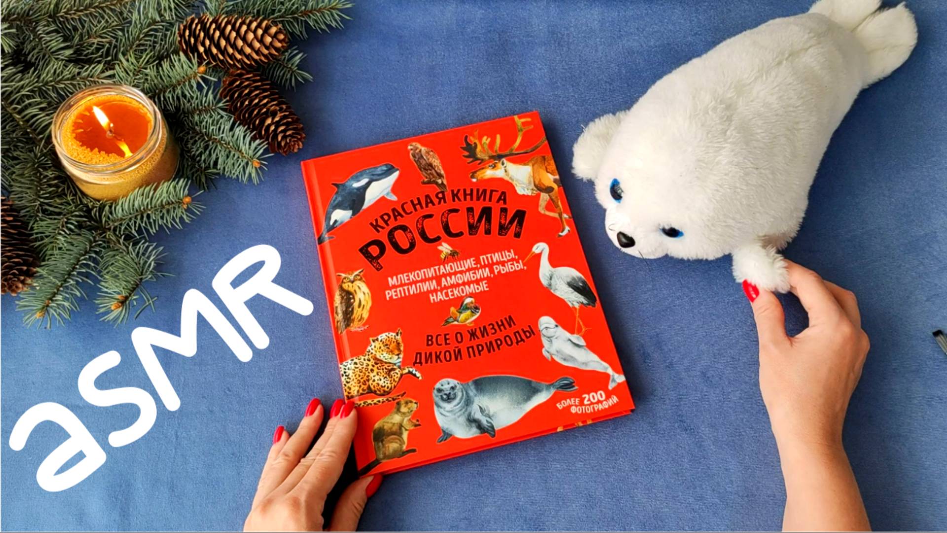 #24 Занимательный АСМР: Красная книга России для детей. Близкий шепот. ASMR