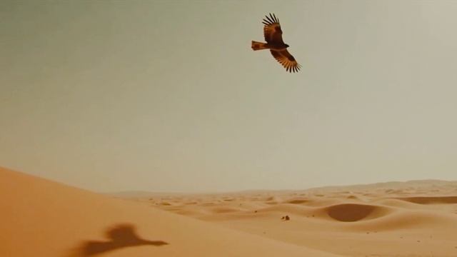 Пустынные ветра