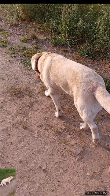 За стоянкой