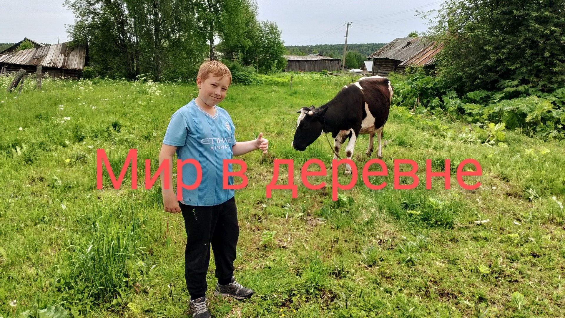 обзор на наш дом 4