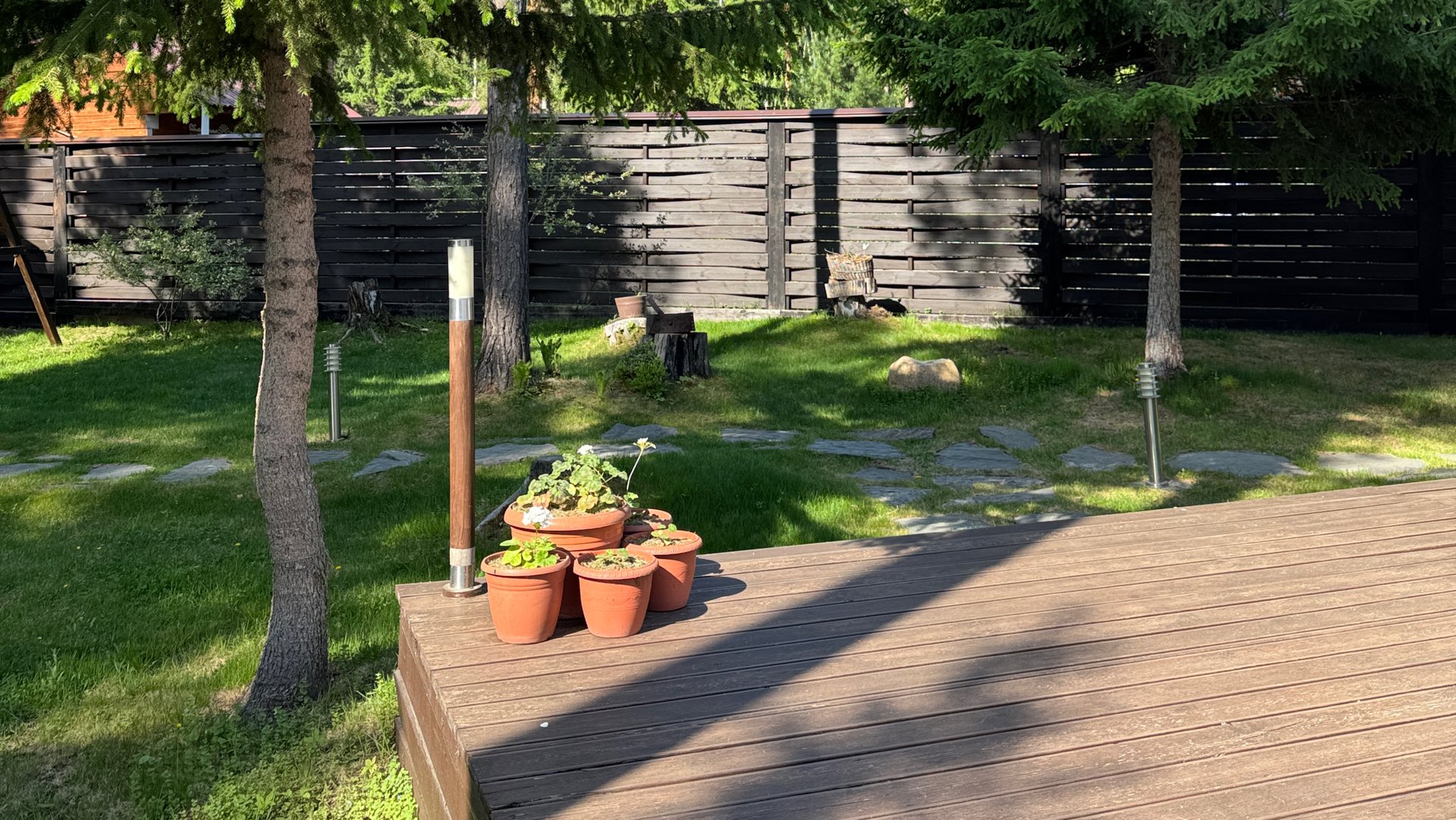 Цветы и огород 10 июня. Начинаются огурцы. Зацветает клубника