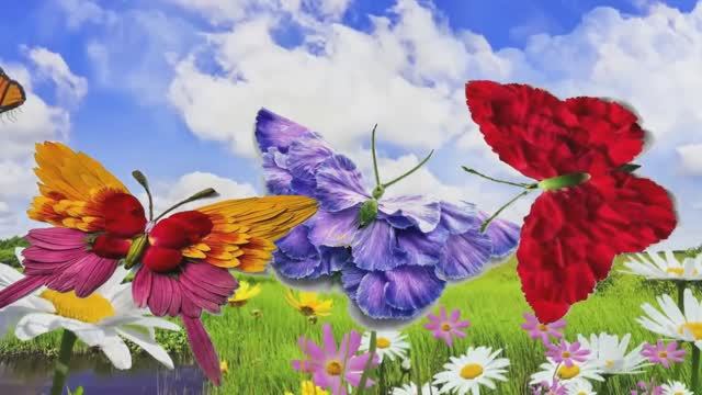 ЛЕПЕСТКОВ  ВОЛШЕБНЫЙ  МИР