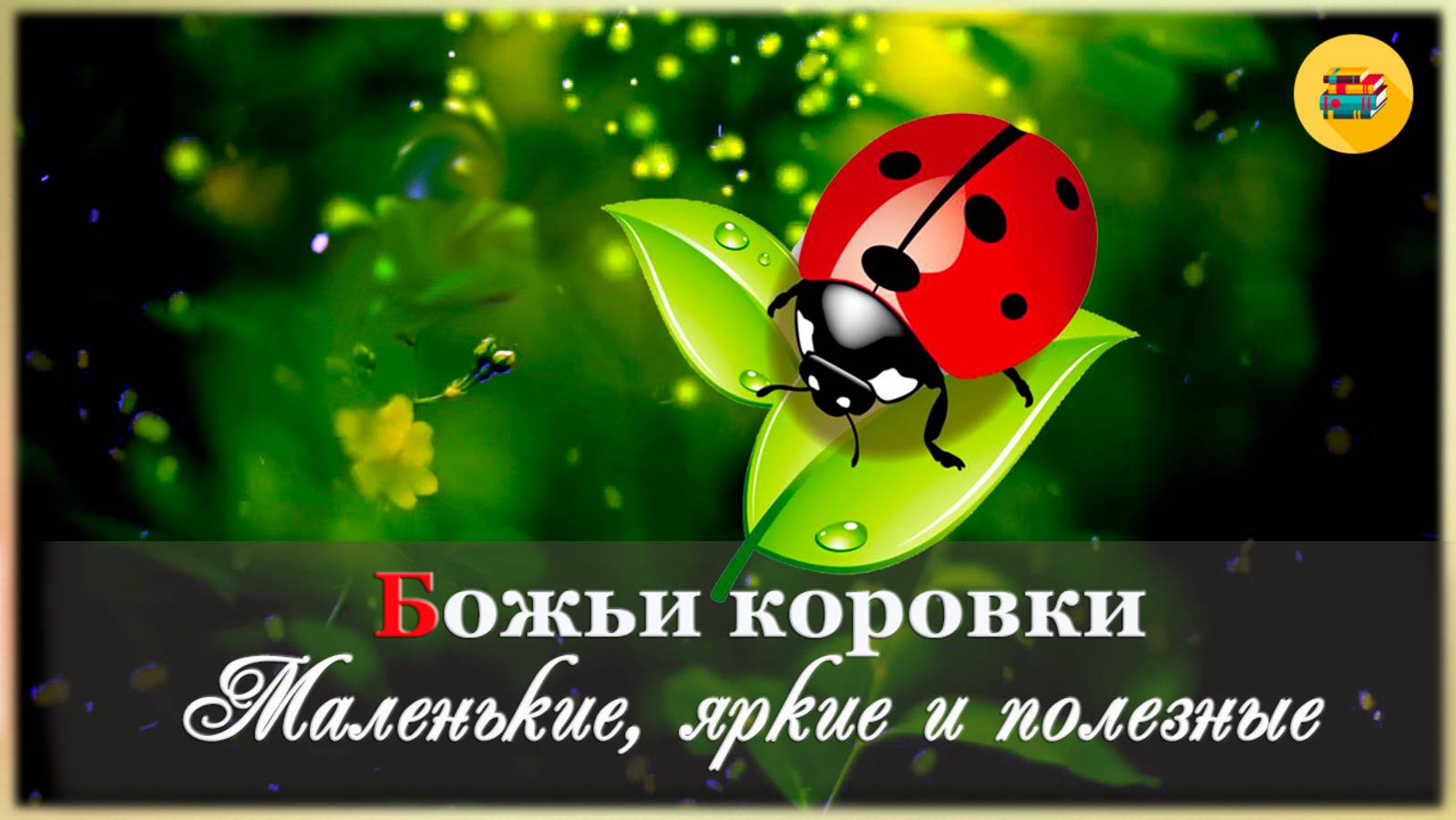 🐞 Волшебный мир божьих коровок | Познавательное видео для детей