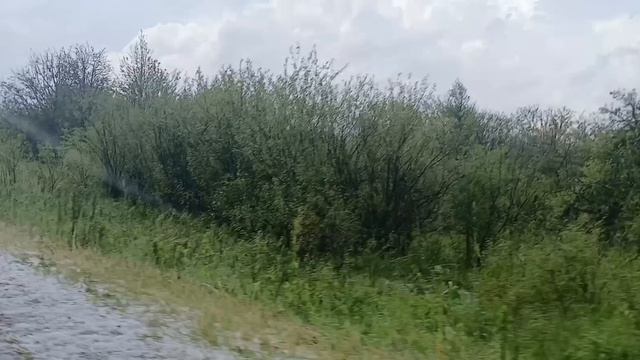 Градик в гости приходил