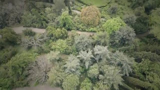 Моя Россия - Евгений Коновалов