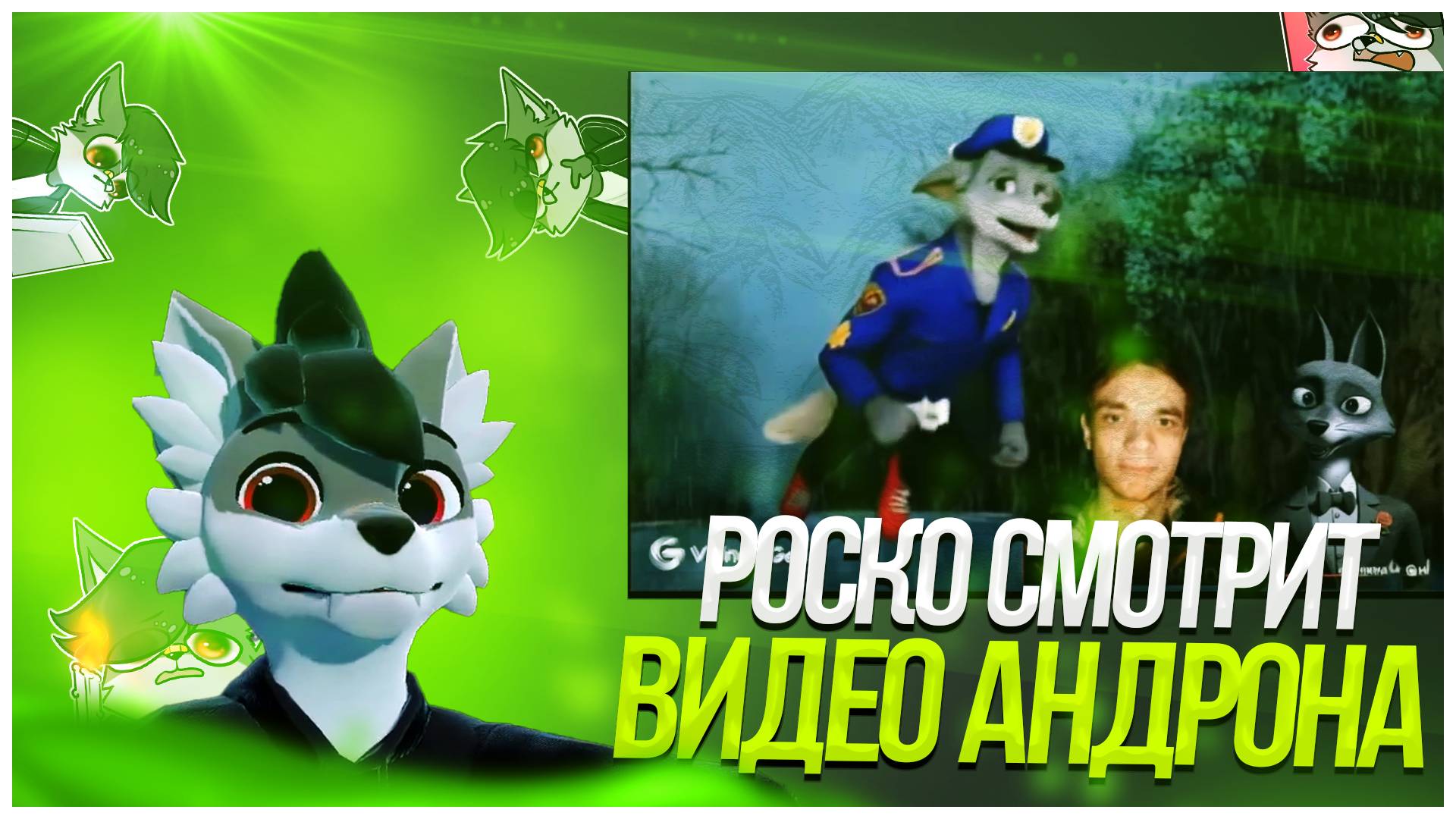 🐺 Роско смотрит видео Андрона