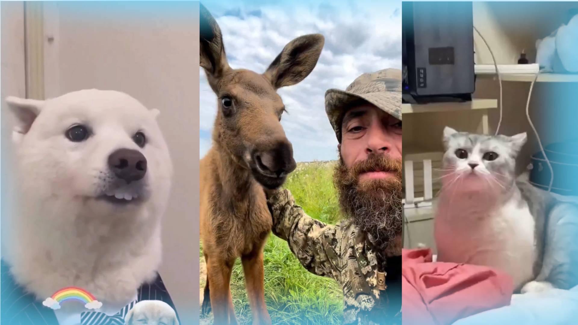 🤣 ЛУЧШИЕ ПРИКОЛЫ TIKTOK ИЮНЬ 2025 | Multiktok | Смешные моменты