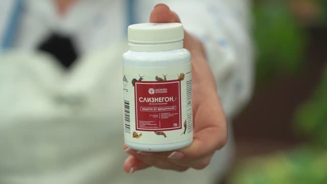 Борьба со слизнями и улитками на участке