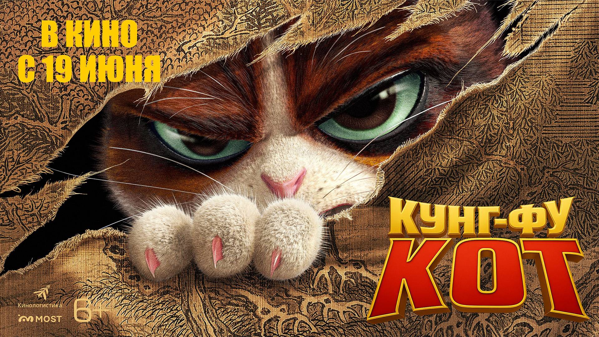 Кунг-фу кот 6+