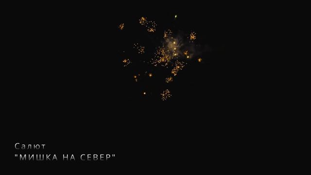 RB1601-20 Мишка на севере (0, 8" х 16)