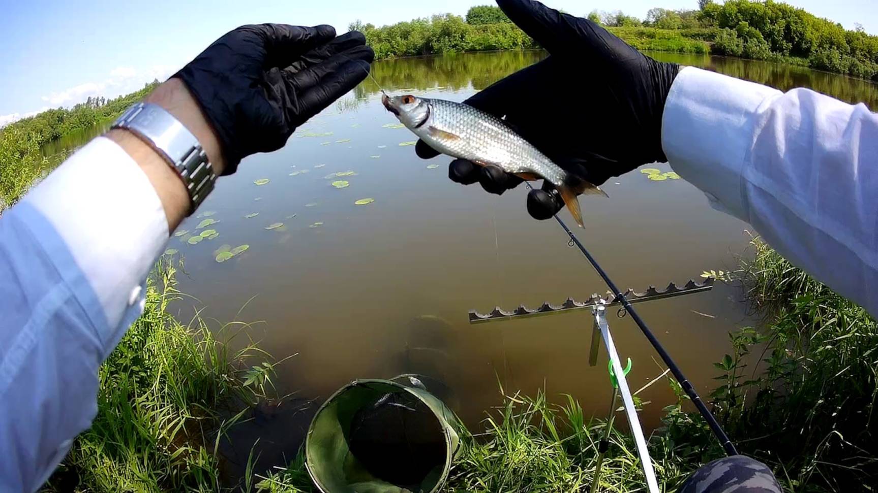 РЫБАЛКА НА ФИДЕР