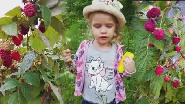 ЛЕТО БУДЕТ ДЛИННЫМ