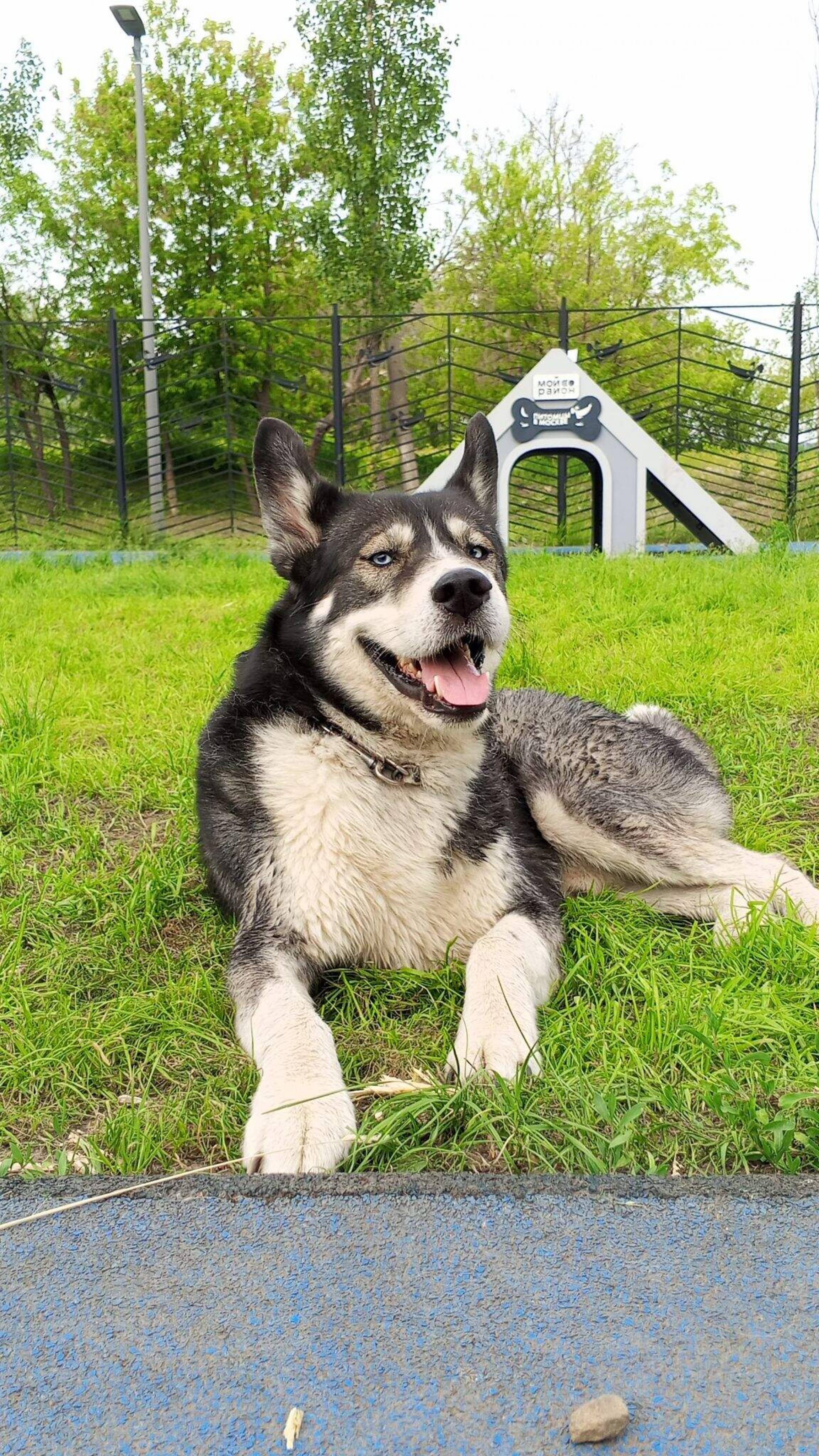 Джамагаровские пруды Июнь 2025 г.