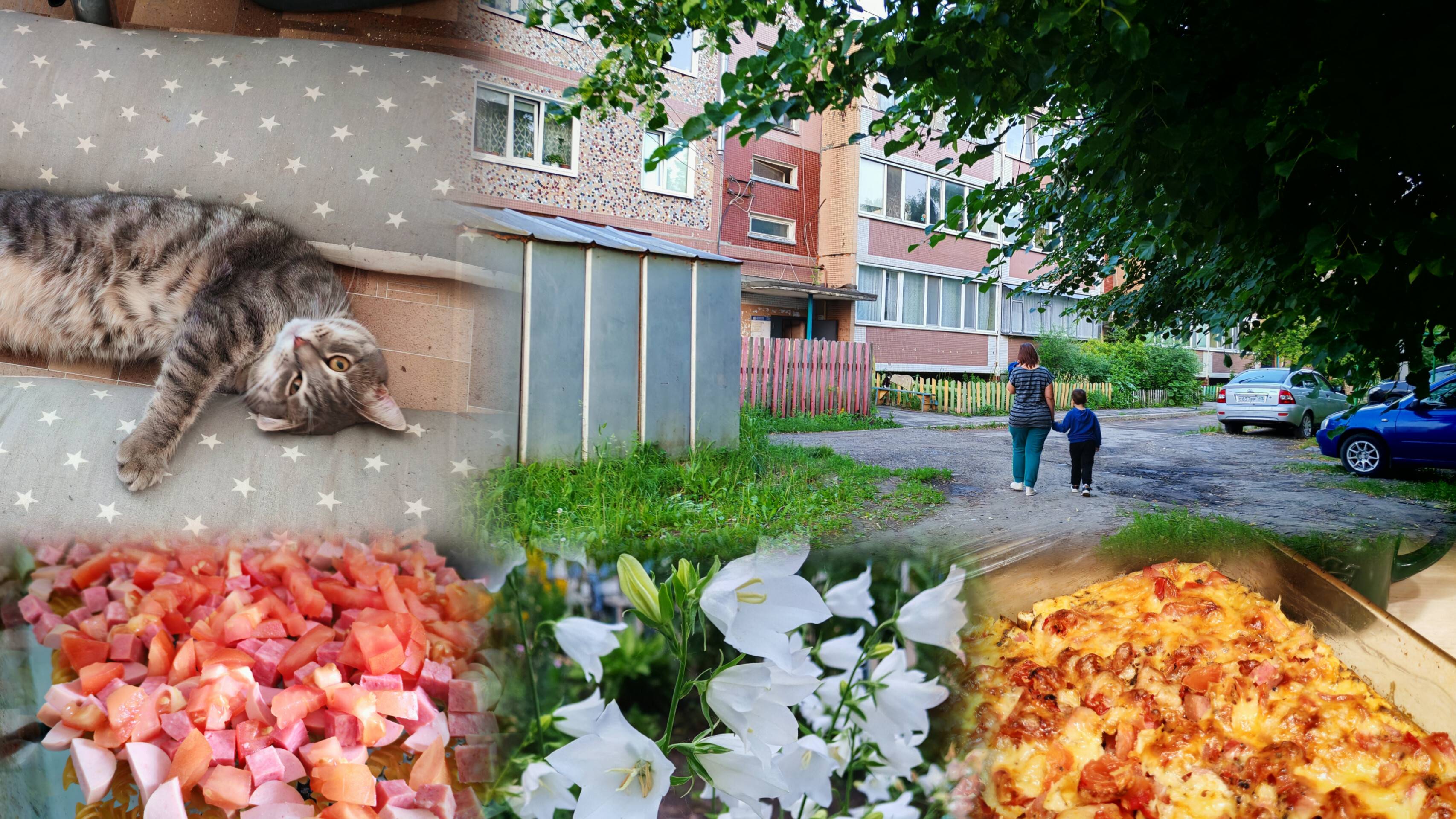 Тихая и спокойная деревенская жизнь, деревенские уютные будни, дождь в деревне