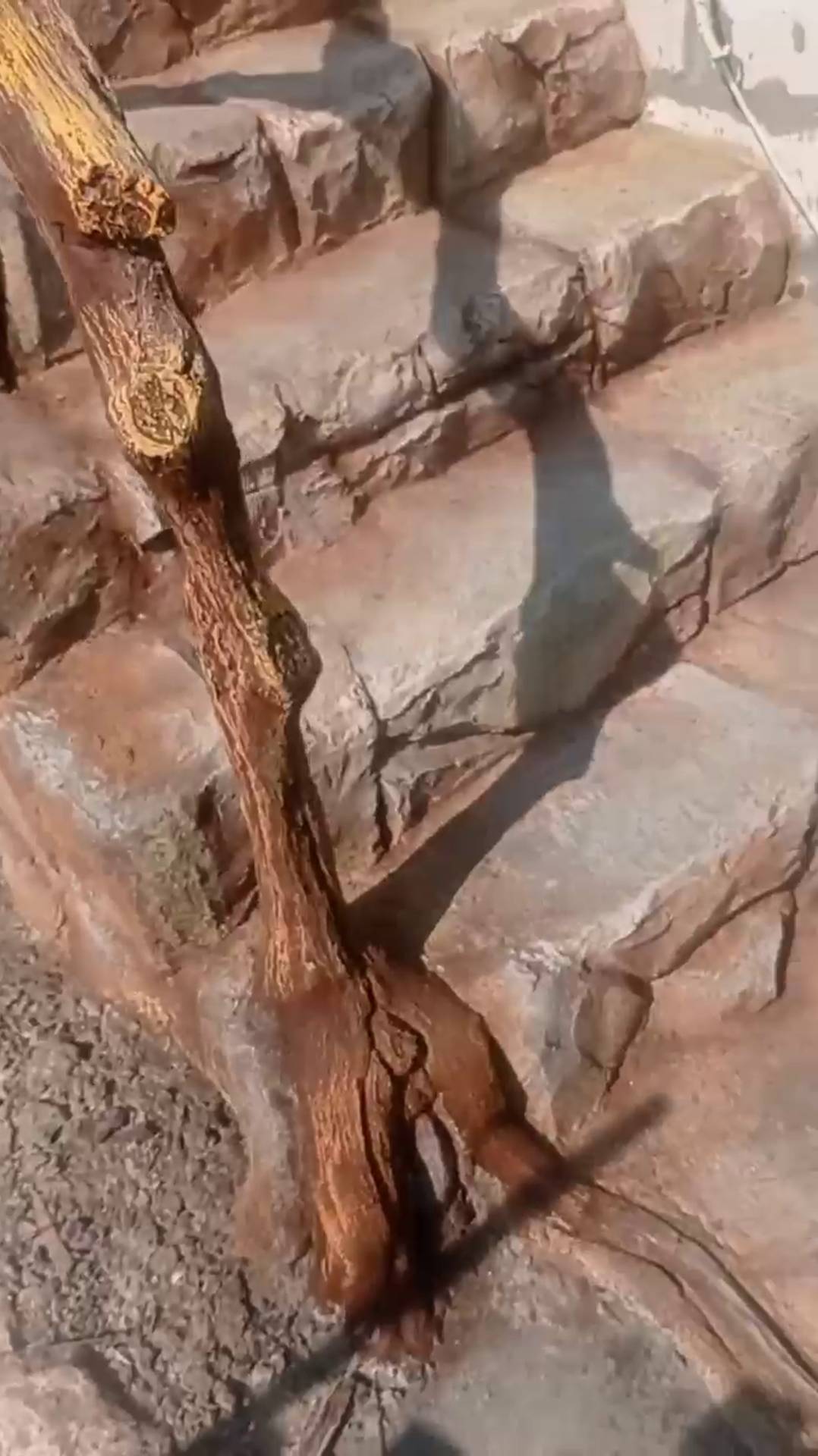 лестница  ступеньки на даче  из  арт бетона мастер Сергей капитанов