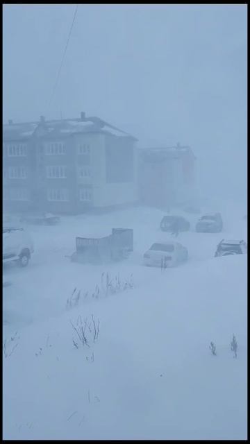 Зима в России. Южно-Курильск в январе