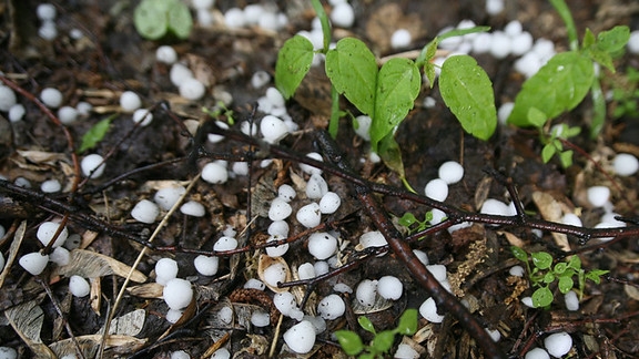Град в июне