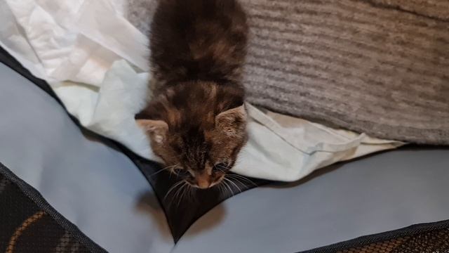 Подробности