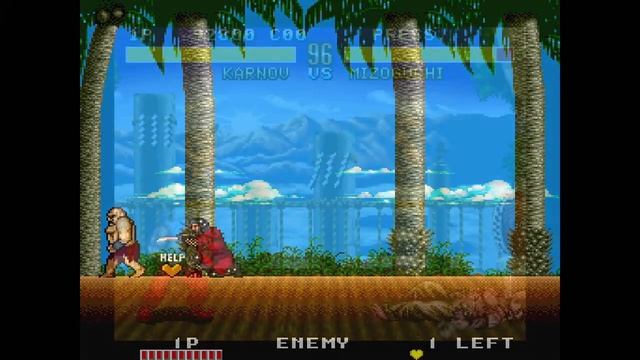 Evercade - Windjammers, Karnov & Friends на русском