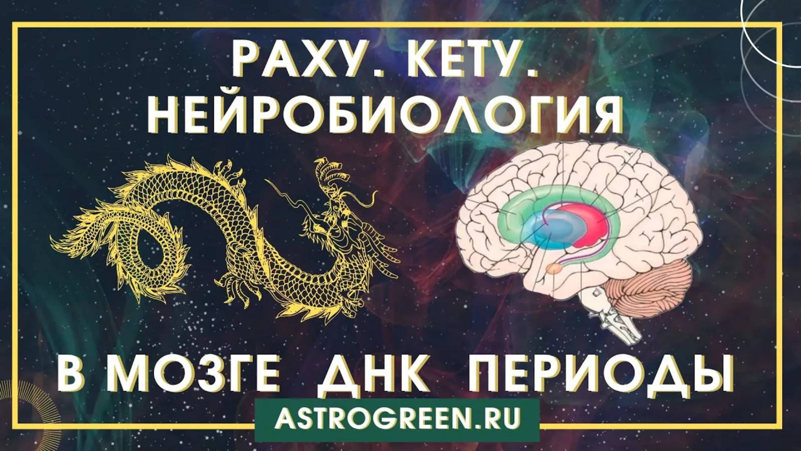 Раху и Кету научно. Нейробиология. ДНК. Астропсихология. Периоды Раху и Кету. Медицинская астрология