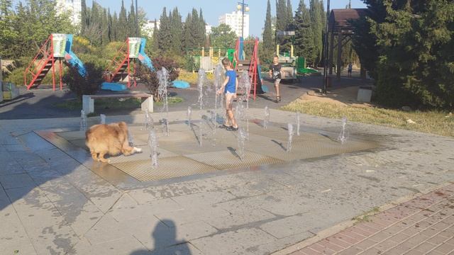 Севастополь 13.06.2025.  Аппа резвится.