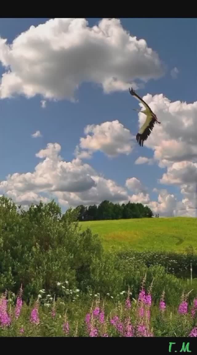 Песня о России