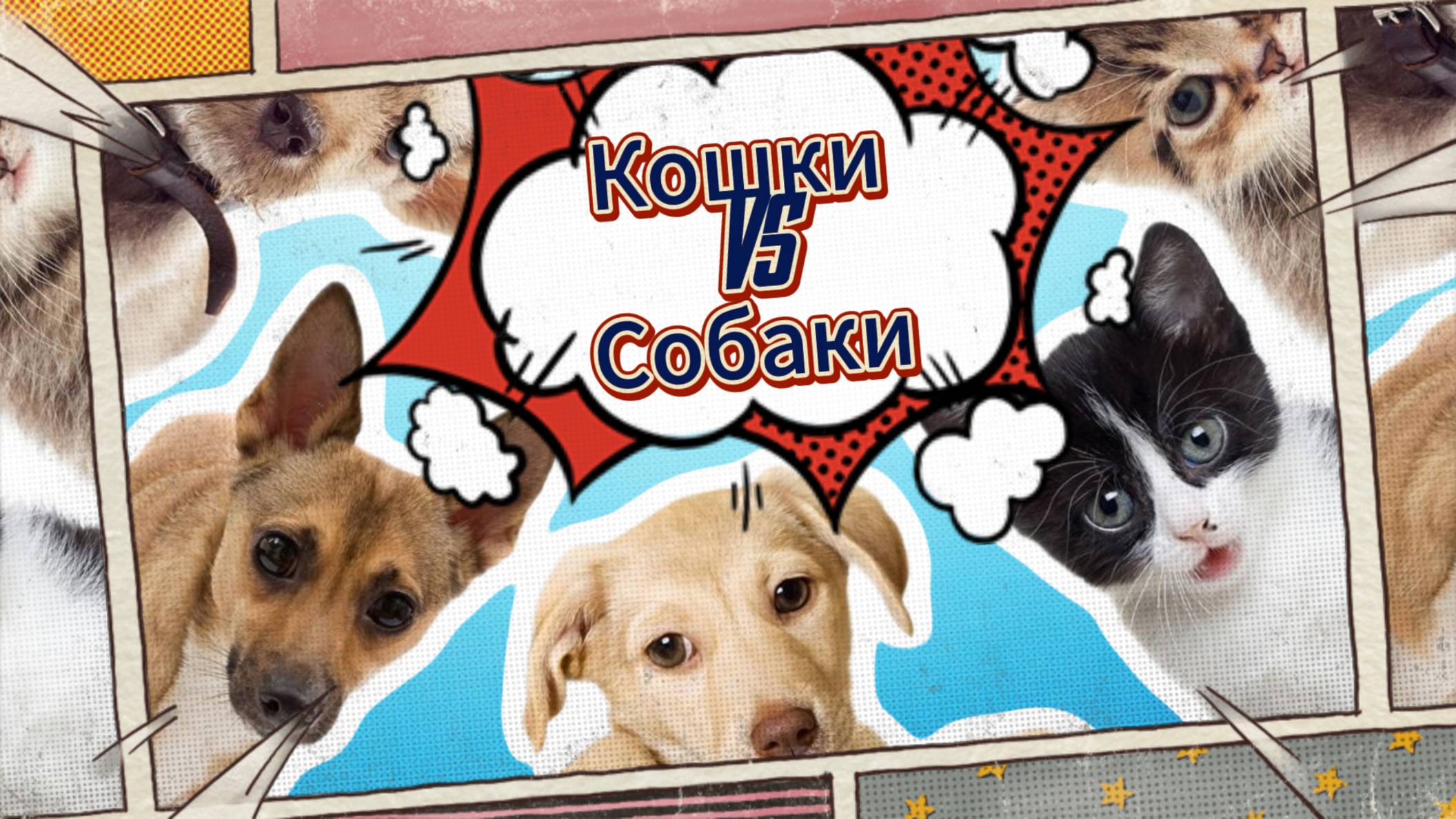 Кто смешнее 🐶 vs 🐱