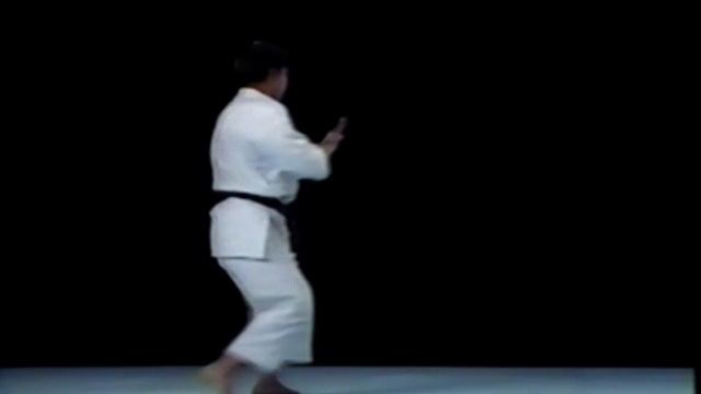 Хейан Сёдан Вид сбоку