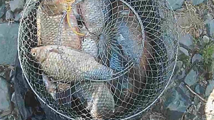 рыбалка в старом русле Дона