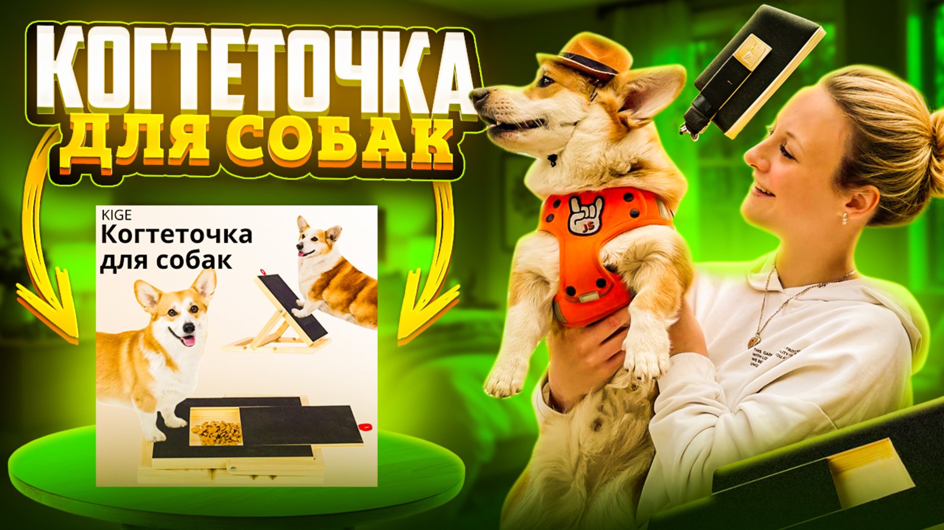 КОГТЕТОЧКА ДЛЯ СОБАК | Доска для стачивания когтей