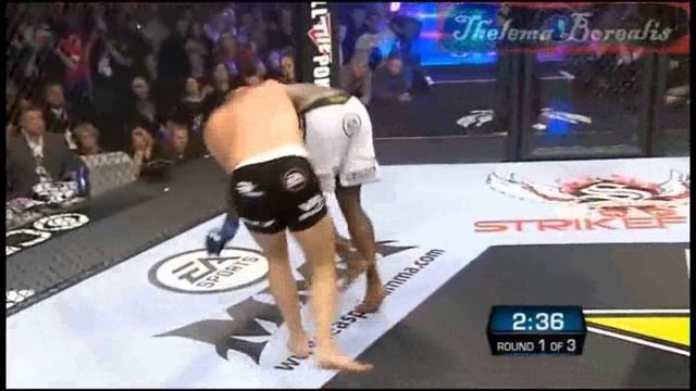 Thelema Borealis - Pagan Warrior