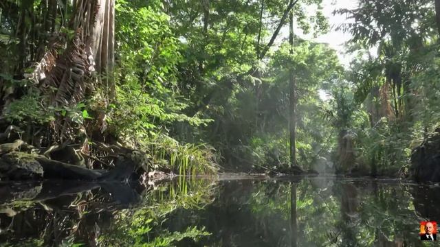 Смесь двух континентов-2