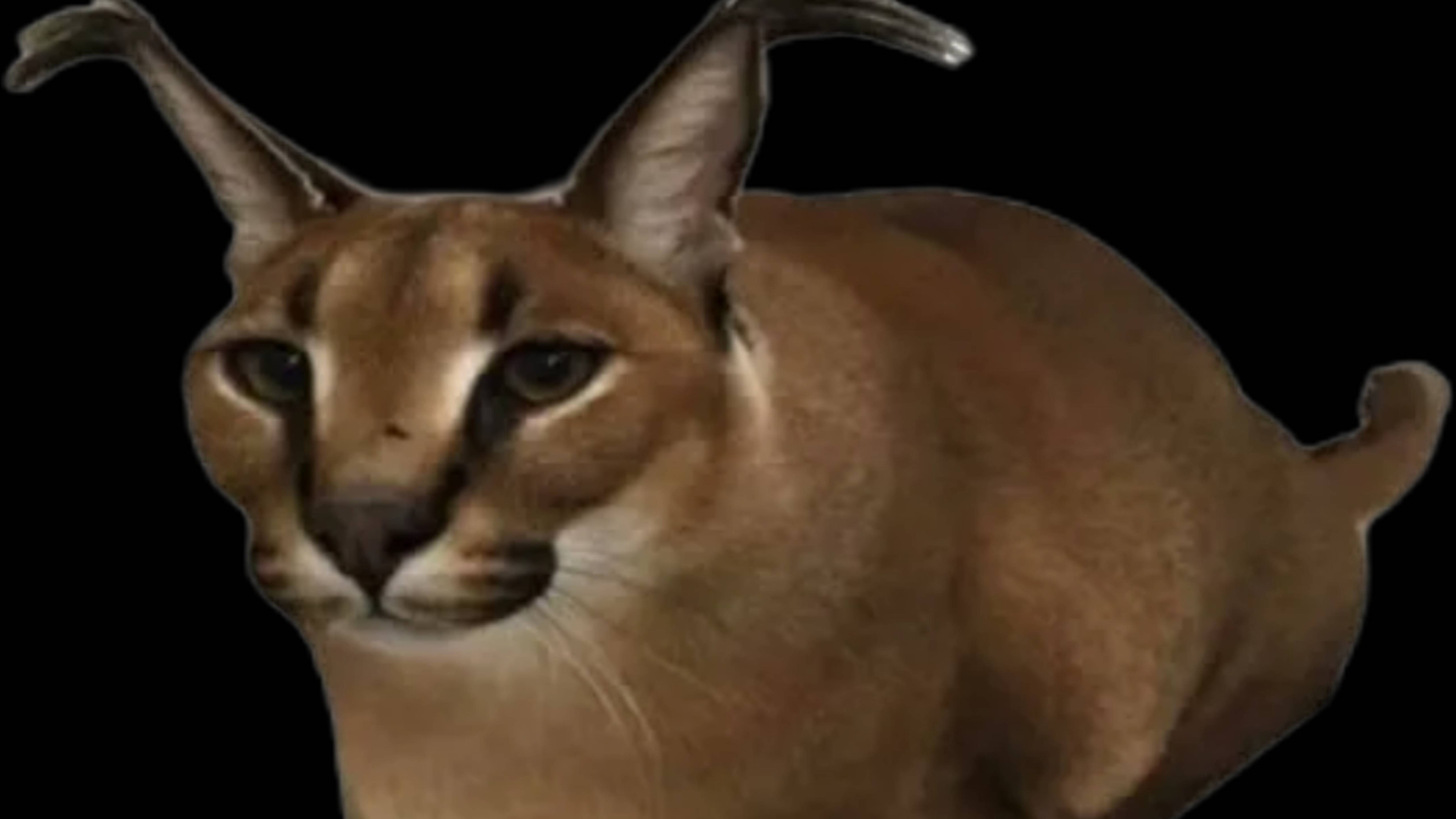 Жизнь флоппы серия 2: ЗАСТРЯЛИ В ЛИФТЕ (2 часть, выбрались!)