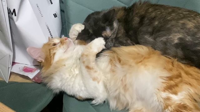 Один и ЛУна. Очень ленивое настроение.