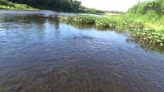 Я не один на Золотой реке