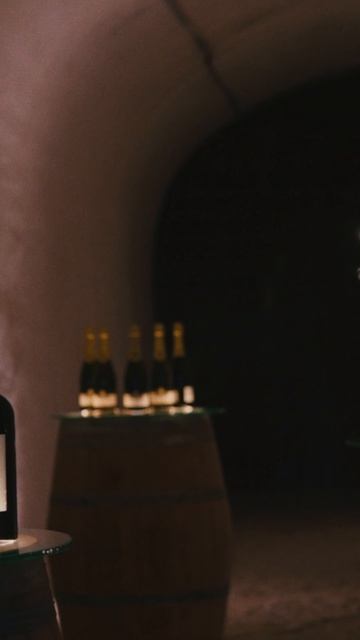 Доисторическое вино