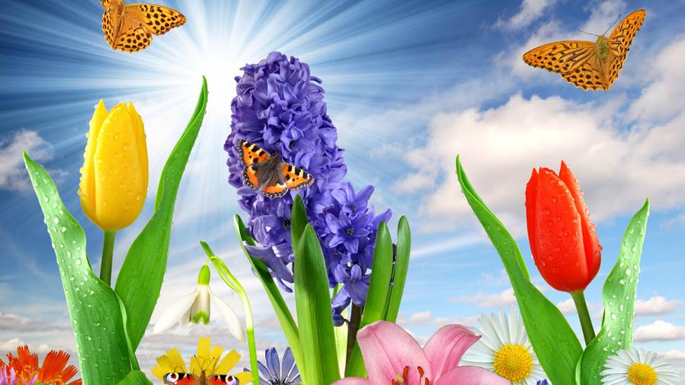 Пустые баночки в мае 2025 г., мои отзывы.