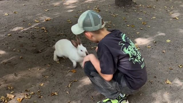 Веселые песенки для детей с Family Fox. Животные, на ферме у Макдональда. Идем в гости к кроликам.