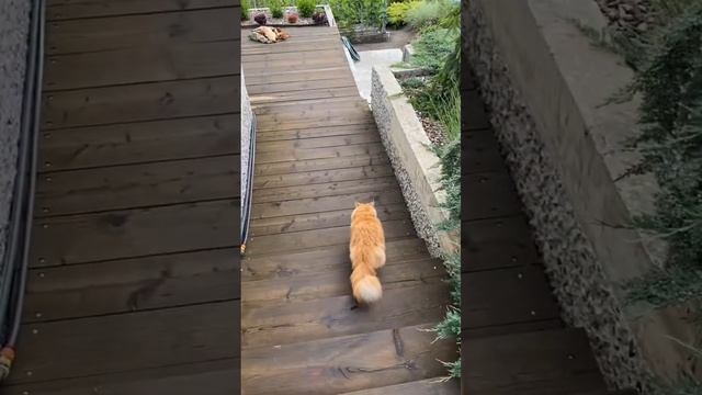 Жизнь наших выпускников: Наиль — царь и охотник!