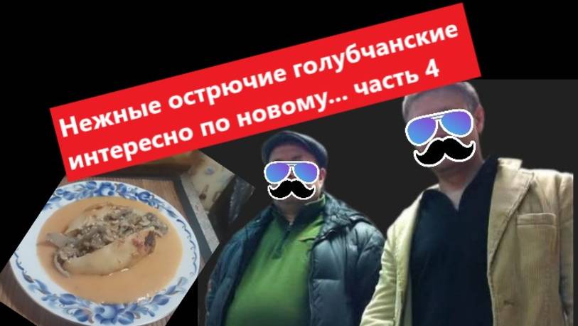 Нежные острючие голубчанские с кабанятки... часть 4
